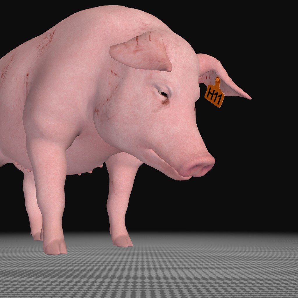 Science_Pig_H11
