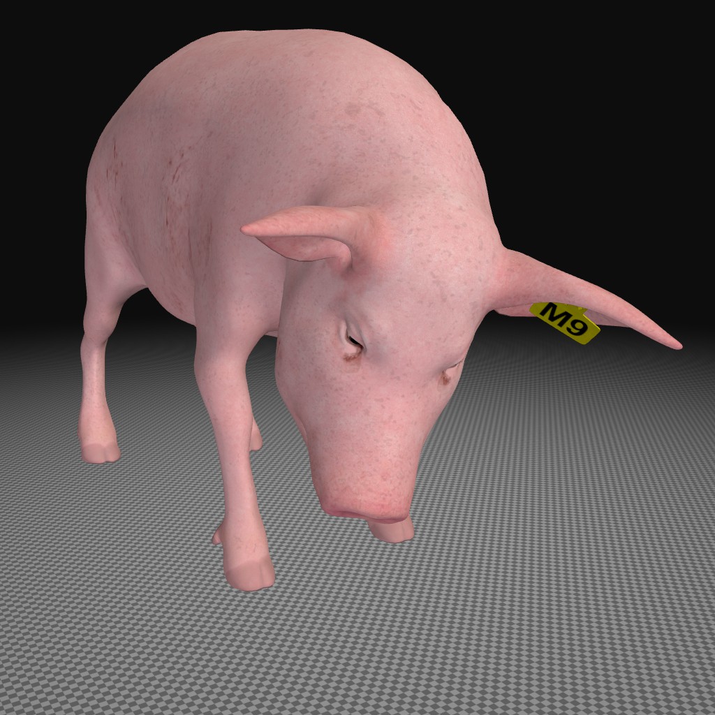 Science_Pig_M9